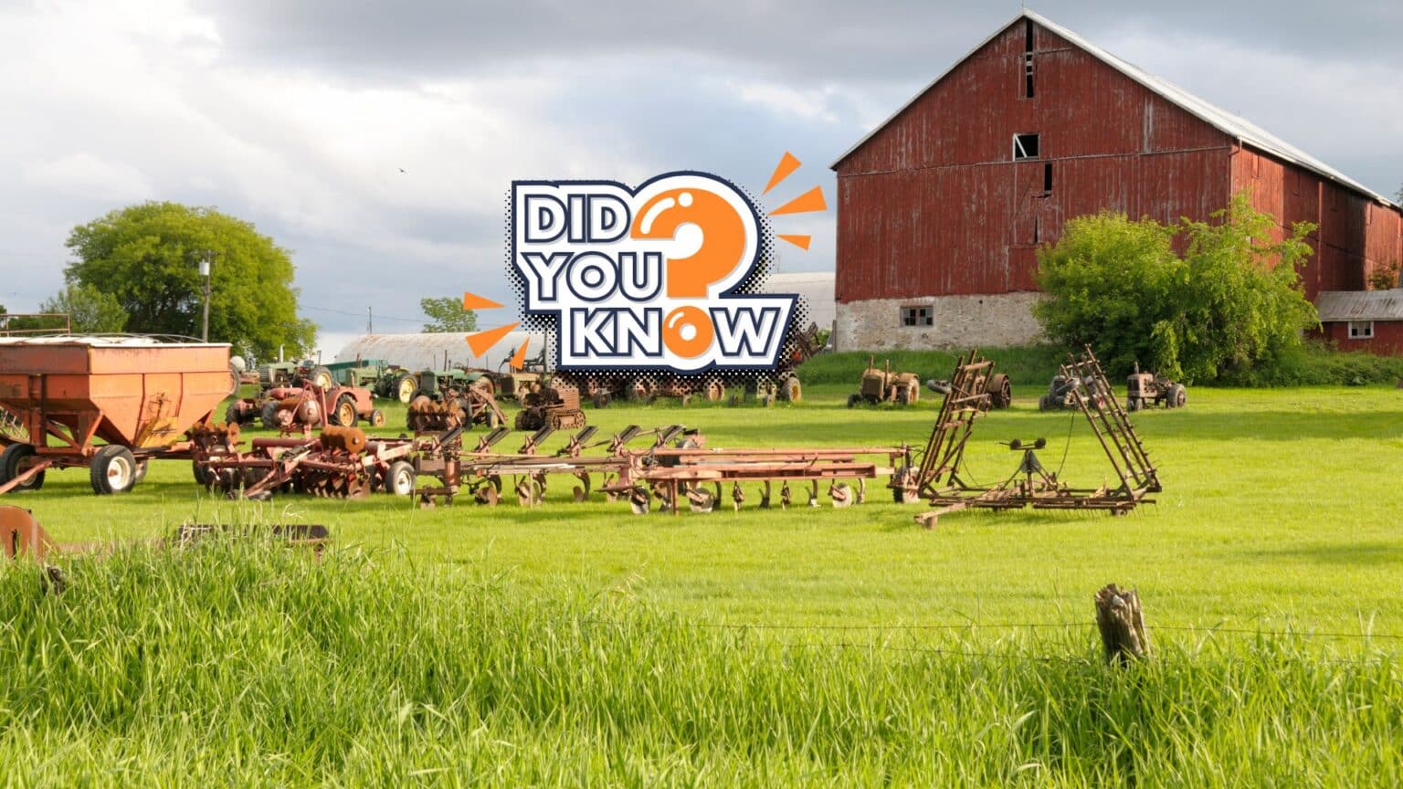 201+ Best Farm Trivia Questions You Didn't Know - Meredith Plays