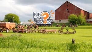 201+ Best Farm Trivia Questions You Didn't Know - Meredith Plays