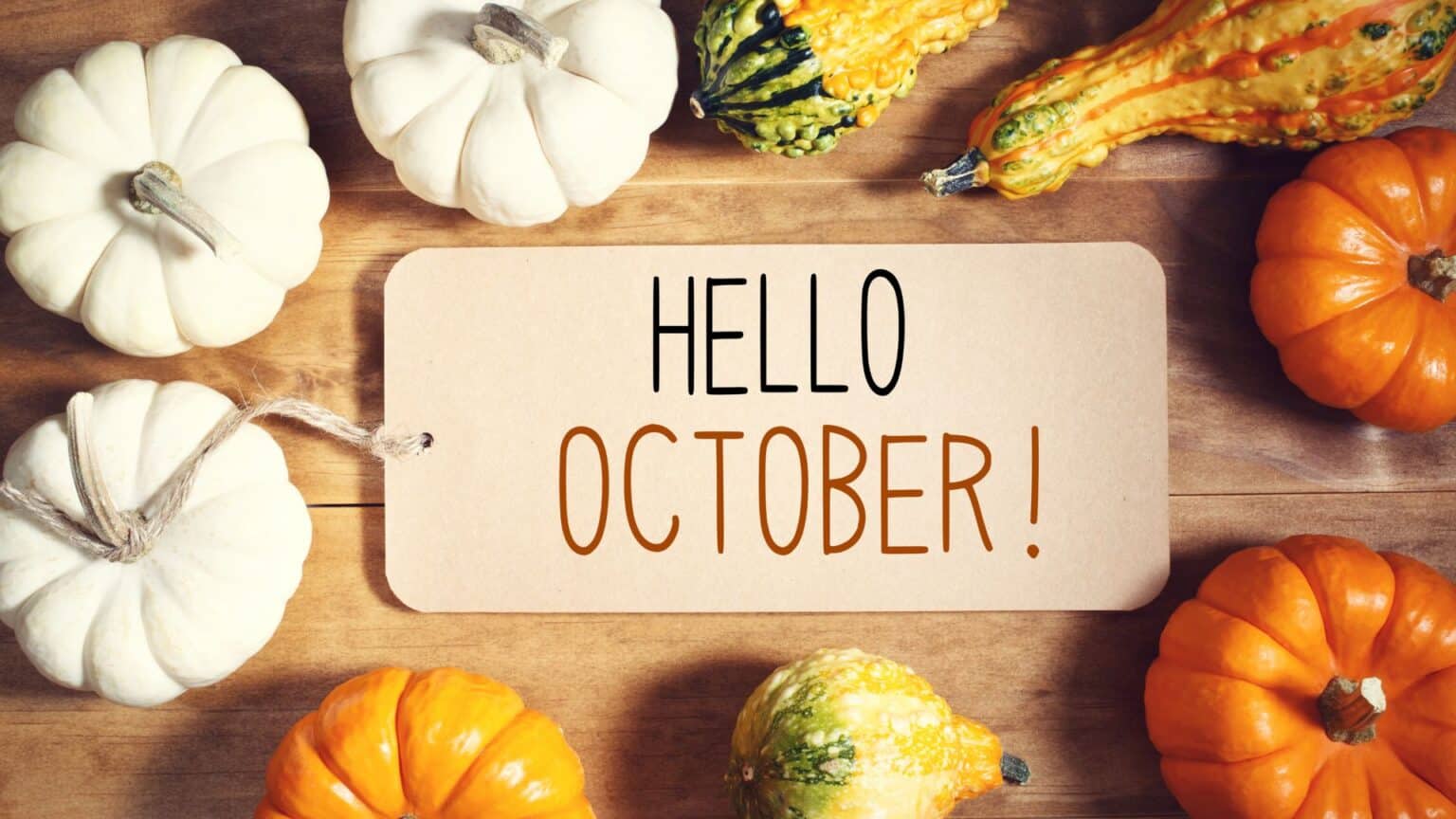 151+ Fun October Trivia Questions to Celebrate Autumn - Meredith Plays