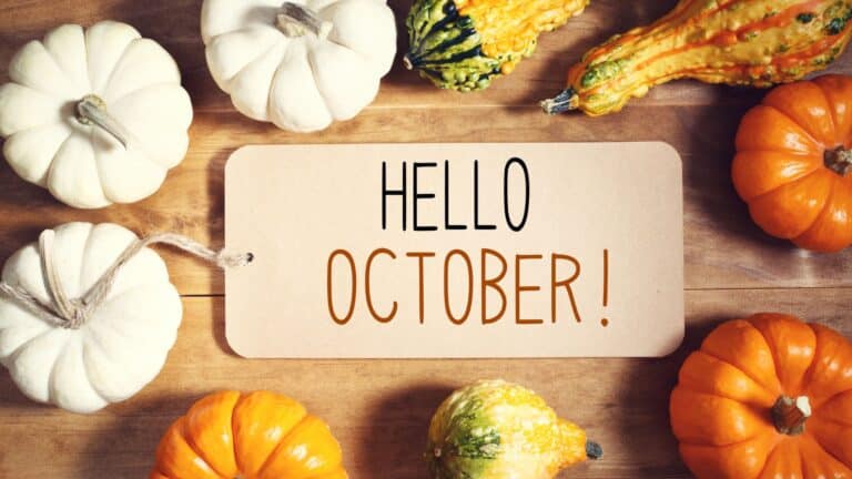 151+ Fun October Trivia Questions to Celebrate Autumn - Meredith Plays