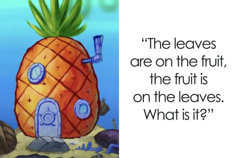 151+ Fun Fruit Riddles with Answers to Challenge Your Mind - Meredith Plays
