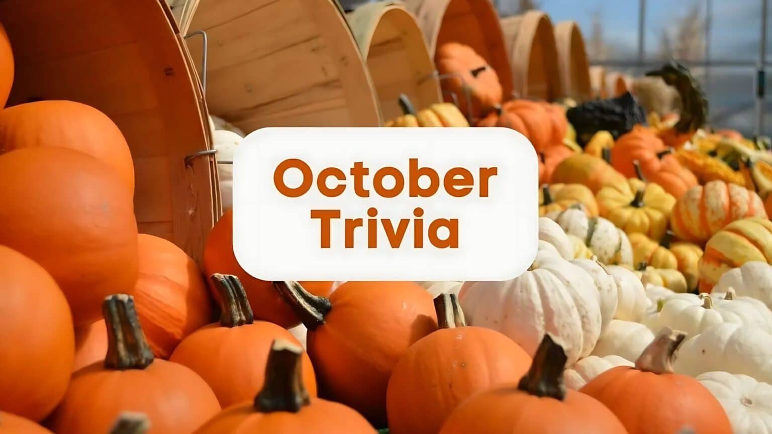 151+ Fun October Trivia Questions to Celebrate Autumn - Meredith Plays