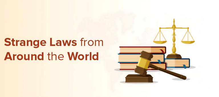 151+ Fun Law Trivia Facts to Stump Your Friends - Meredith Plays