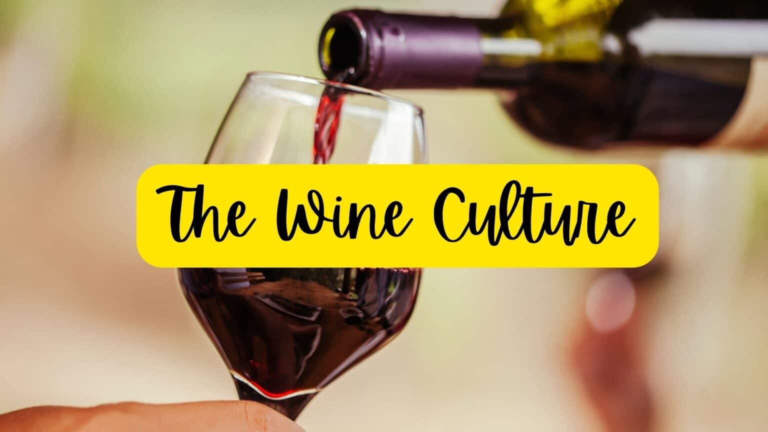 151+ Surprising Wine Trivia Facts You Didn't Know - Meredith Plays
