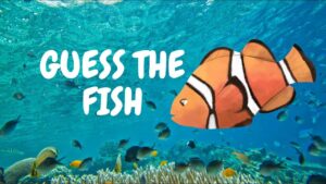 151 Fun Facts for Your Fishing Trivia Night - Meredith Plays