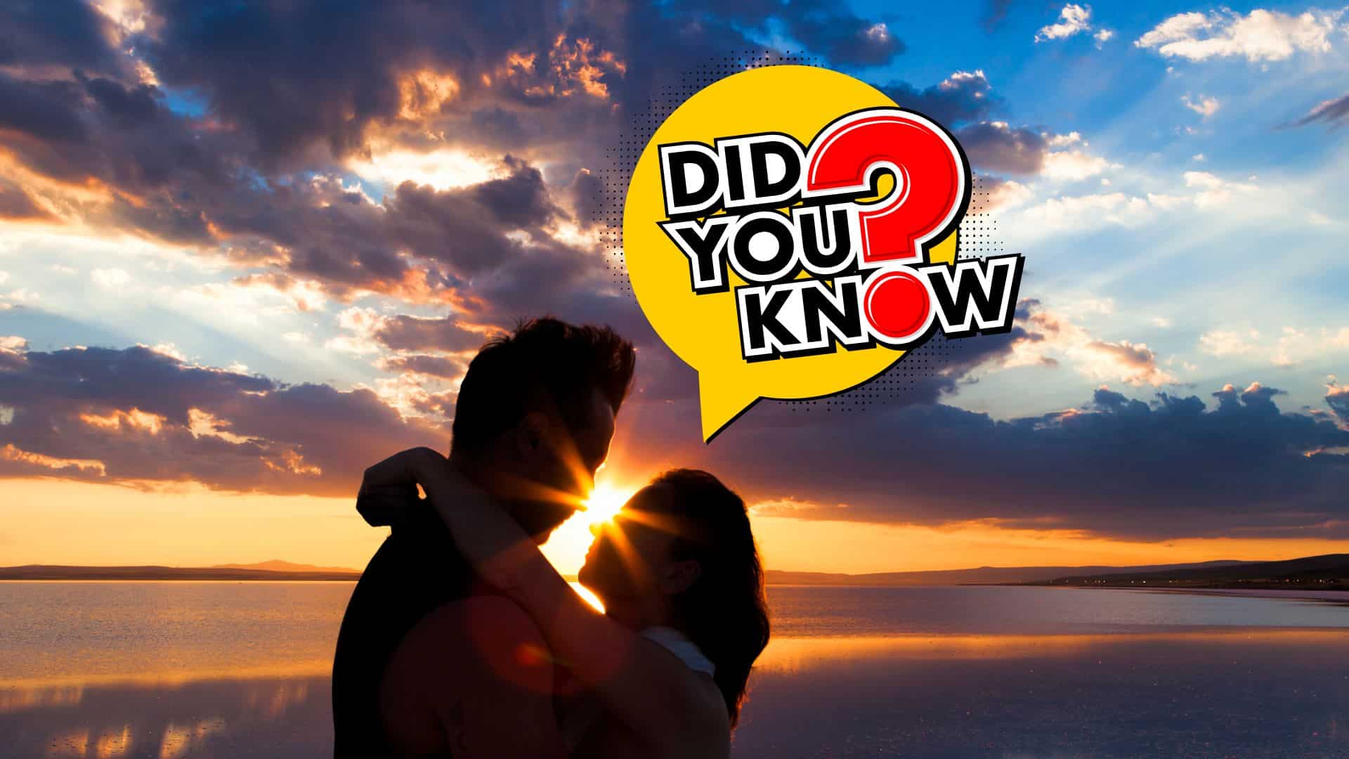 171+ Romantic Love Trivia to Impress Your Partner - Meredith Plays