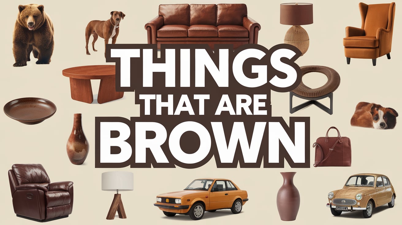 List of 130 Brown Colored Things - Meredith Plays