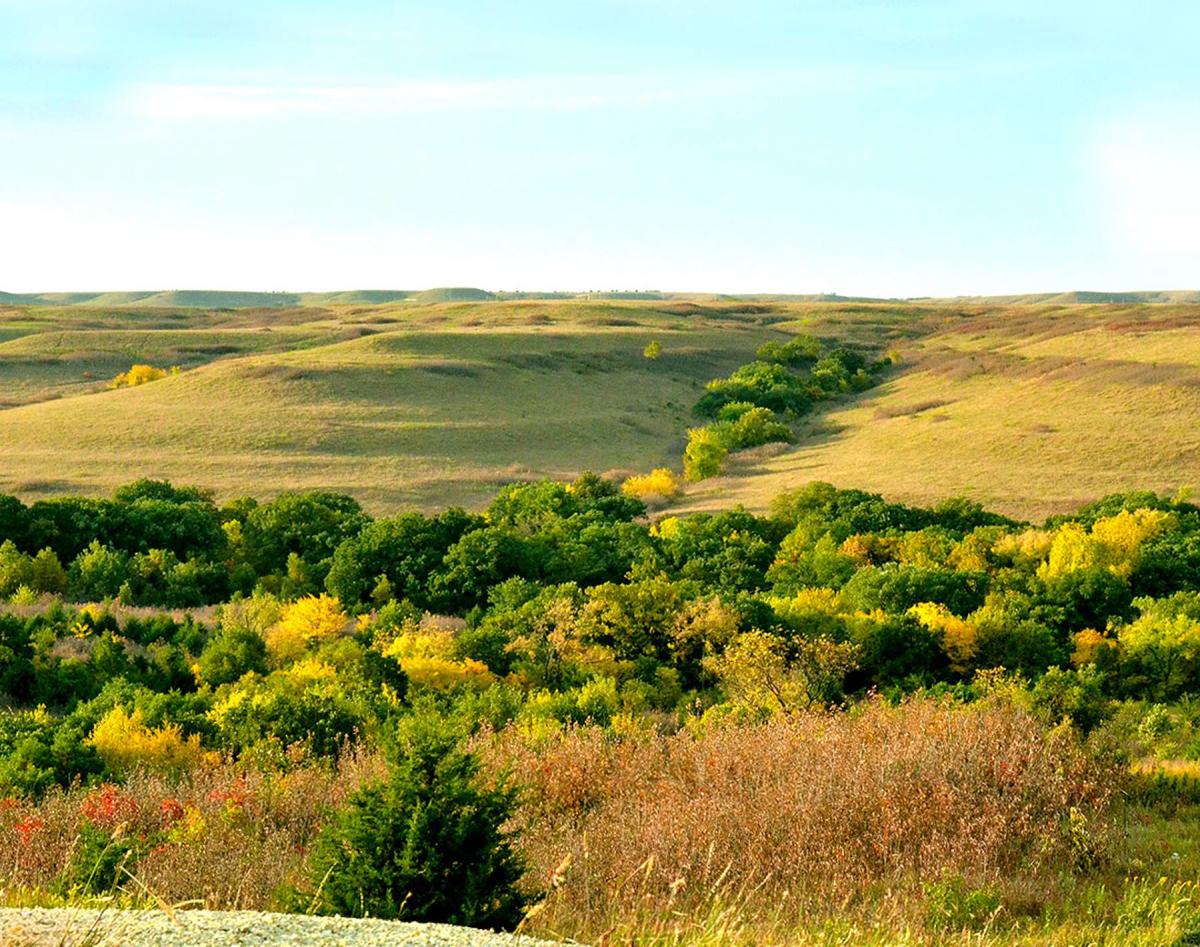 150 Surprising Facts About Kansas You Must Know - Meredith Plays