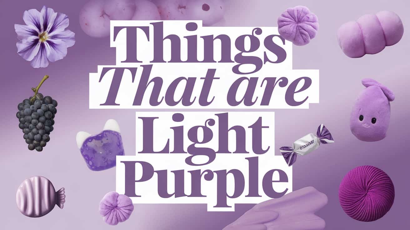 List of 140 Light Purple Colored Things - Meredith Plays