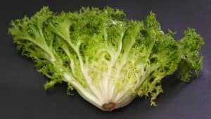 50 Vegetables that Start with F You Should Know About - Meredith Plays