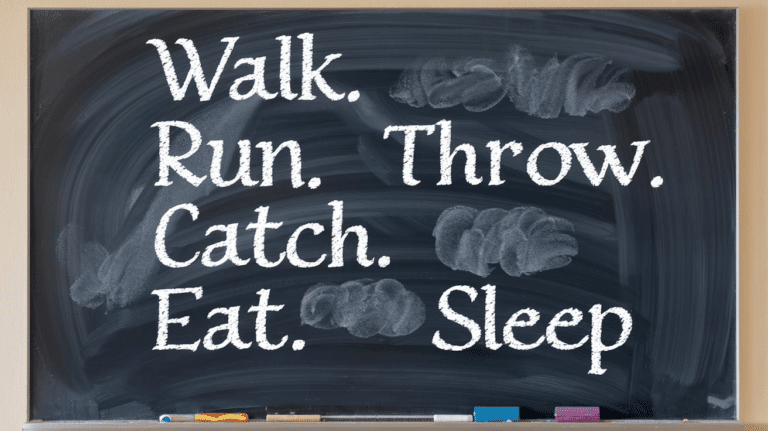 271 Examples of Imperative Verbs in Everyday Language - Meredith Plays