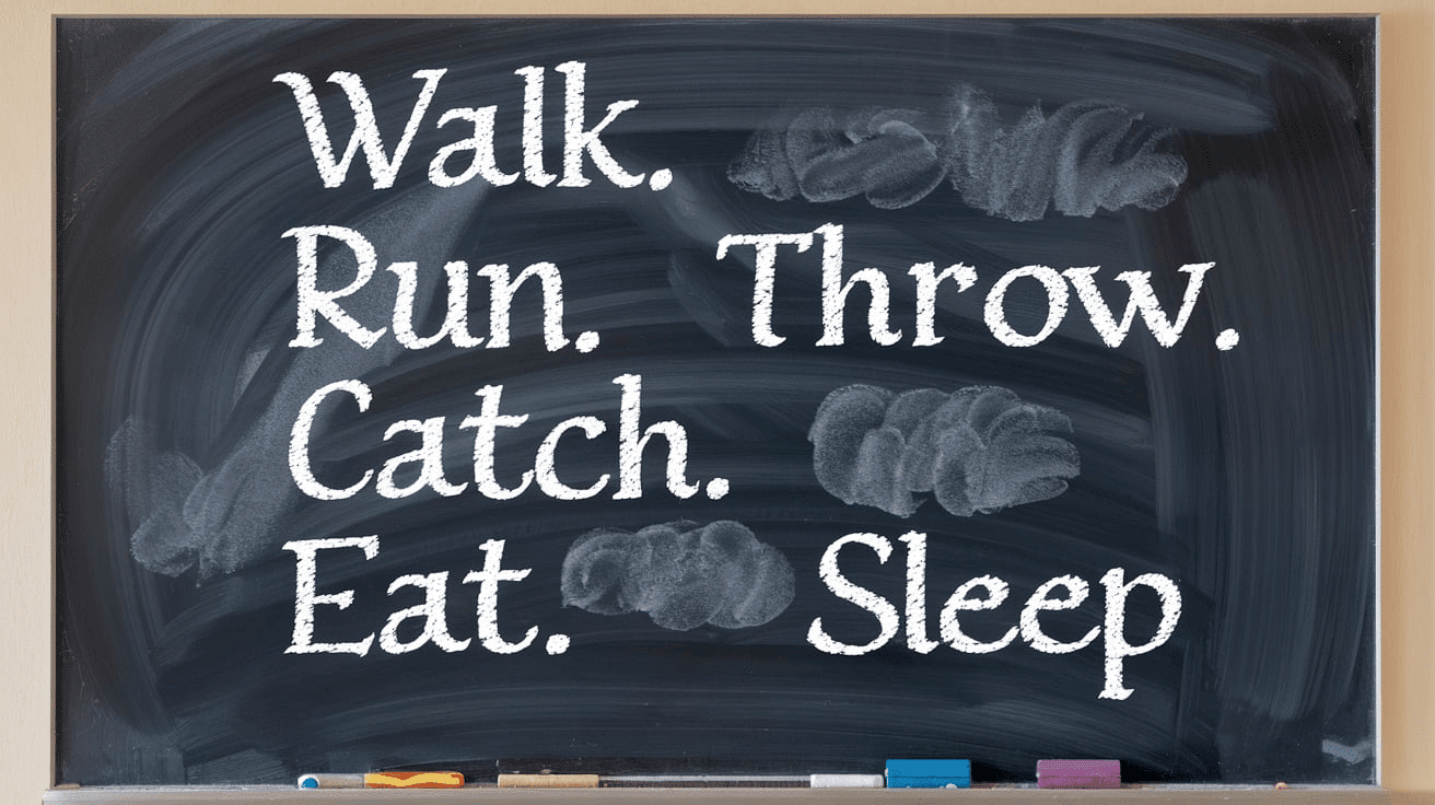 271 Examples of Imperative Verbs in Everyday Language - Meredith Plays