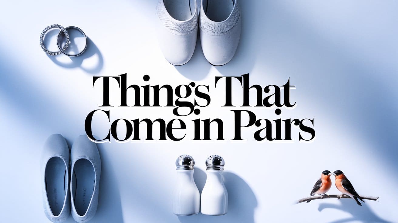 A List of 100 Things That Come in Pairs - Meredith Plays