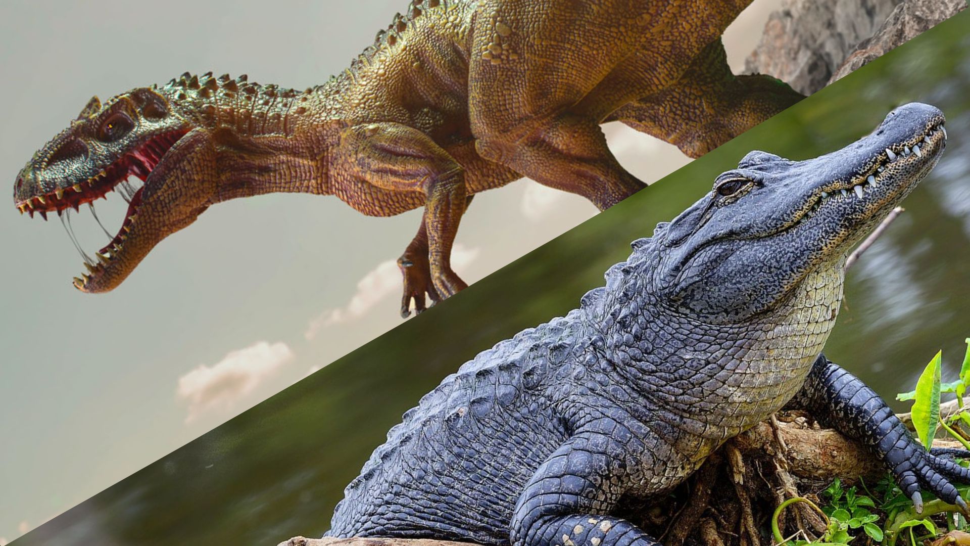 Untangle the Myth: Are Alligators Dinosaurs? - Meredith Plays