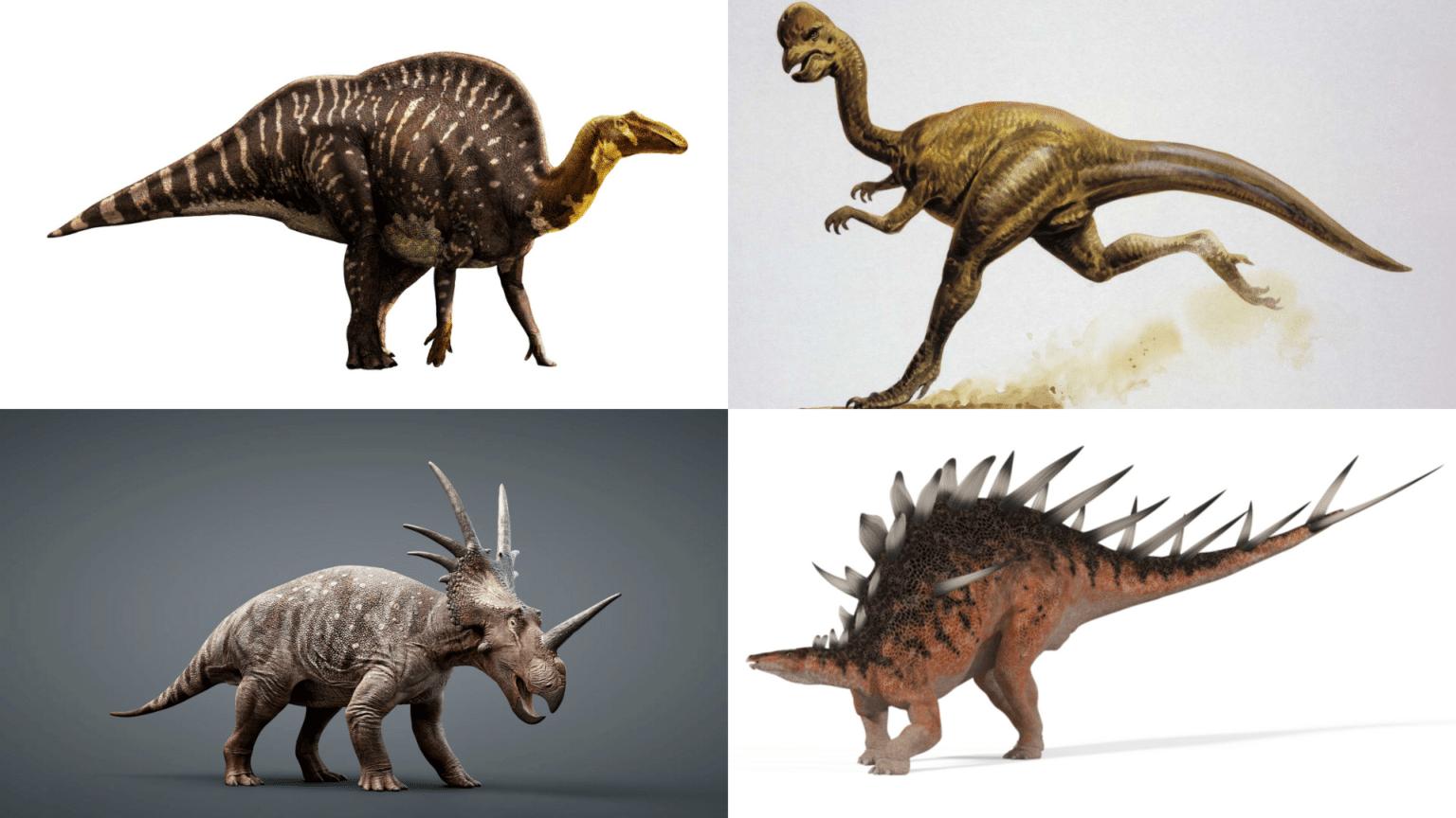 A Guide to Understanding Different Types of Dinosaur - Meredith Plays