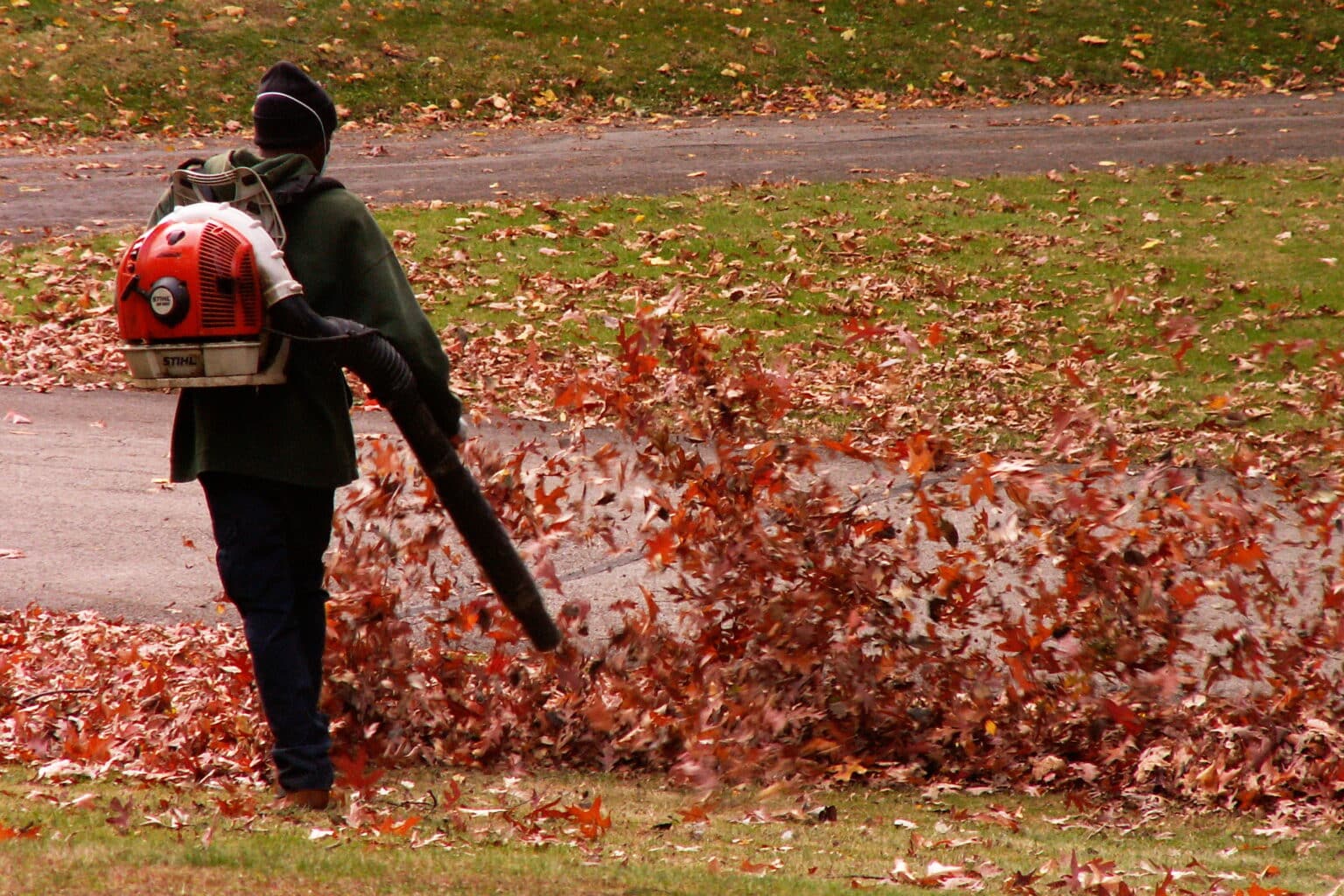 Expert Tips for Using a Leaf Blower Like a Pro - Meredith Plays