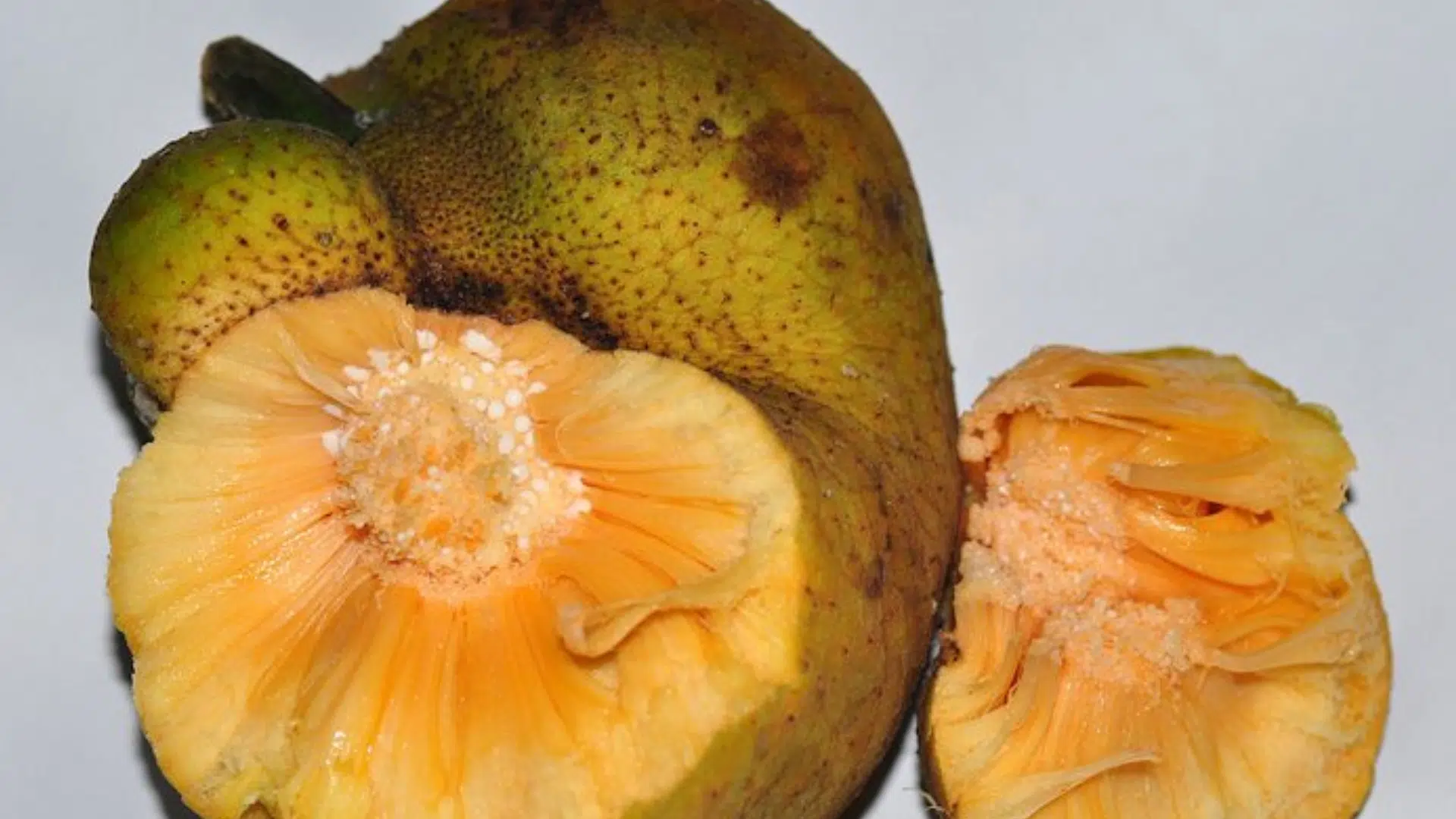 Fruit That Starts With L: A Juicy List to Try - Meredith Plays