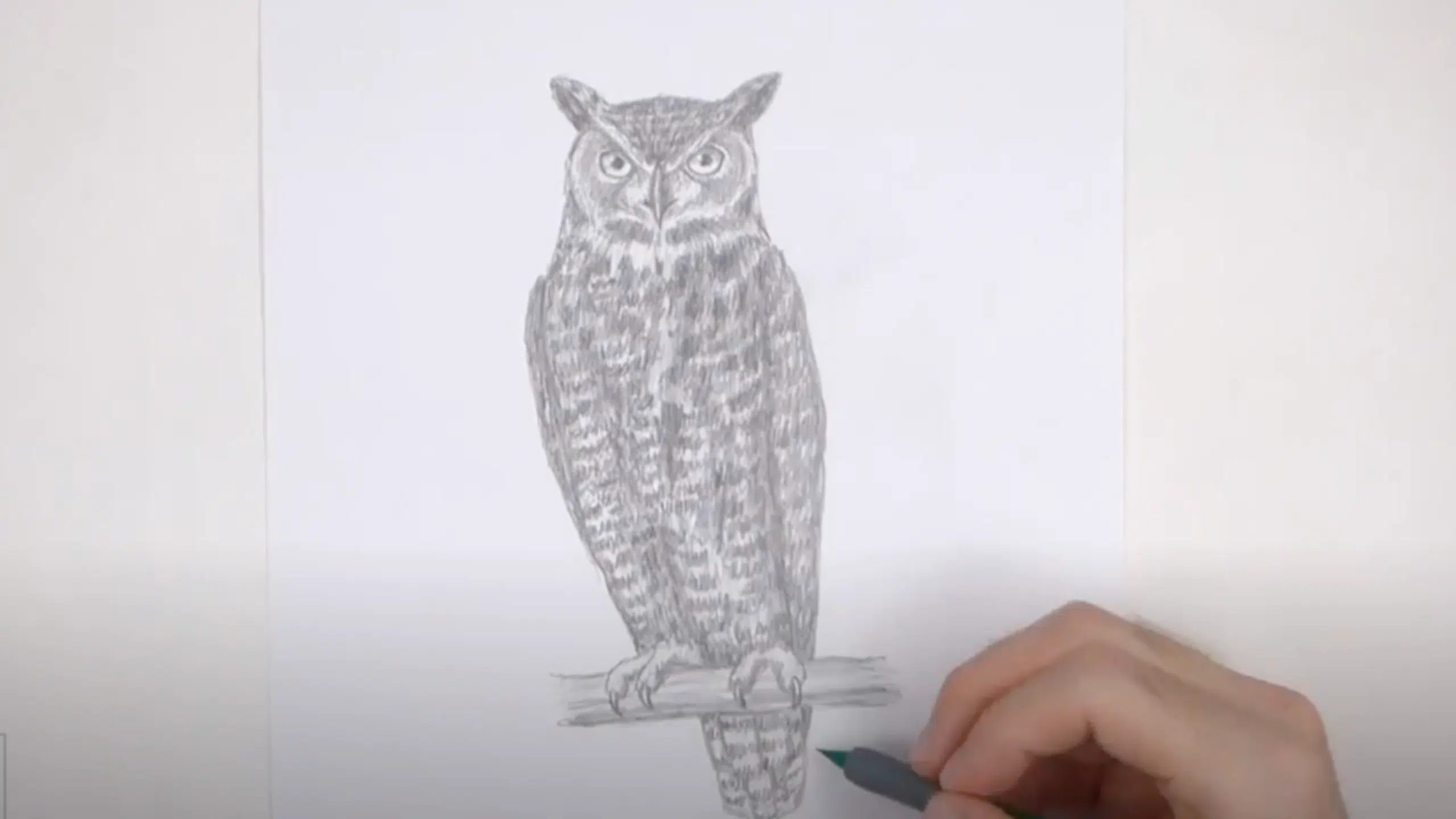 How to Draw an Owl: A Simple Step-by-Step Approach - Meredith Plays