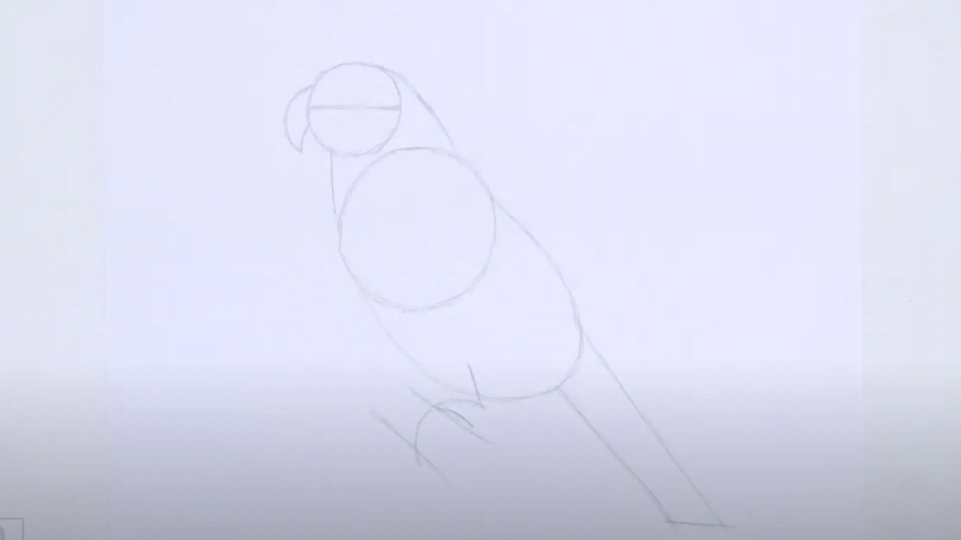 How to Draw a Parrot: A Fun and Easy Tutorial for All Ages - Meredith Plays
