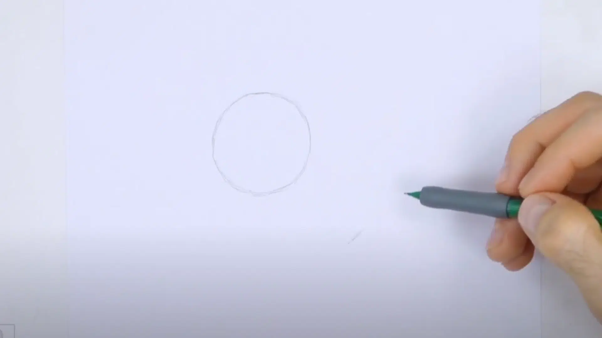 How to Draw a Parrot: A Fun and Easy Tutorial for All Ages - Meredith Plays