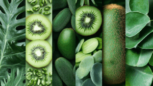 List of Green Colored Things: 249 Everyday Items - Meredith Plays