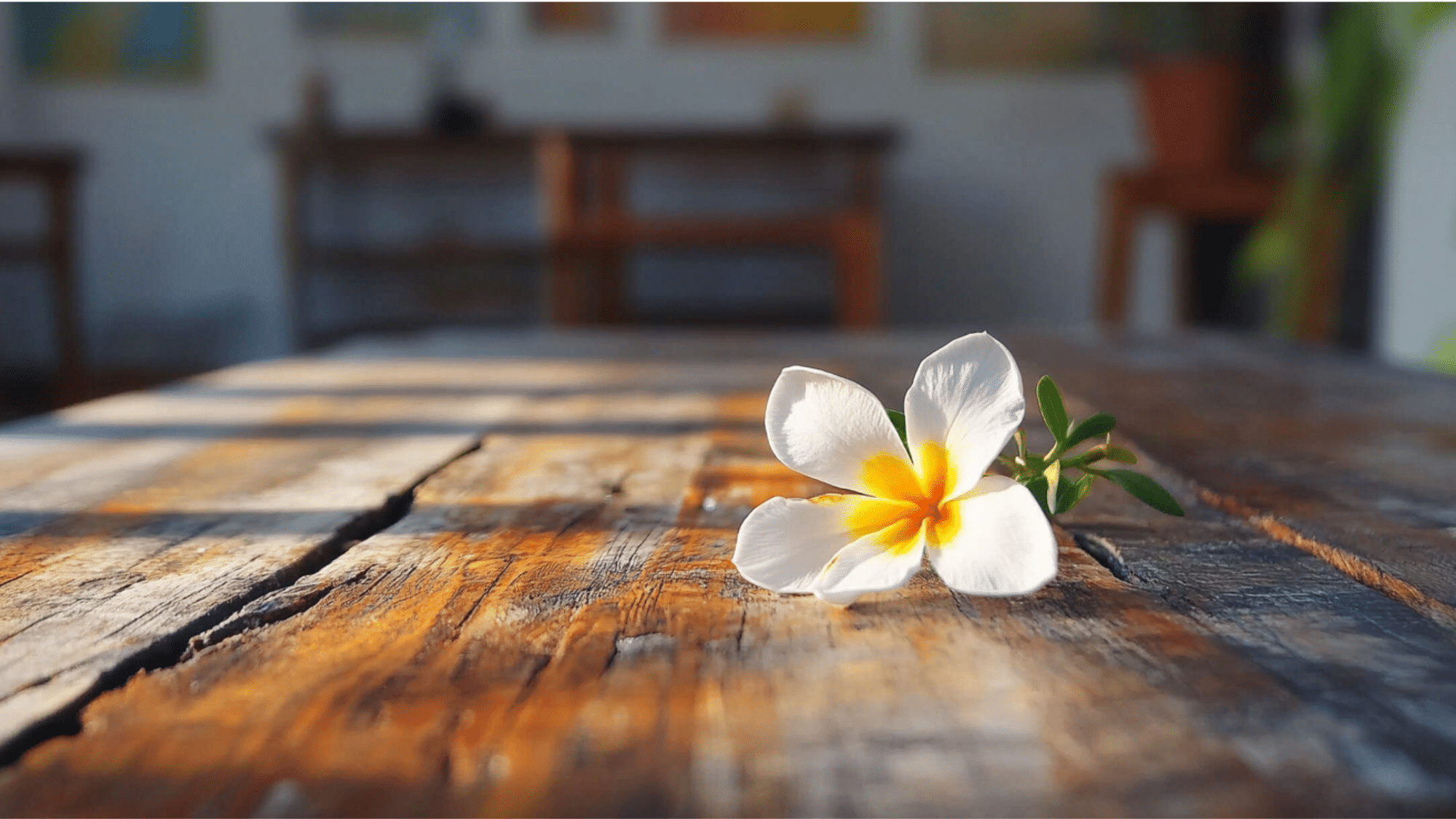 How to Draw Jasmine Flowers Easily - Meredith Plays