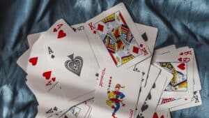 What Has 13 Hearts but No Other Organs? - Meredith Plays
