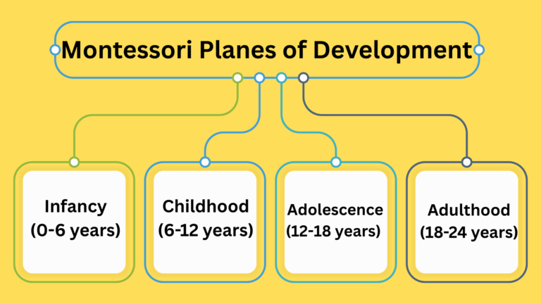 From 18 to 24 Years: Montessori Planes of Development - Meredith Plays