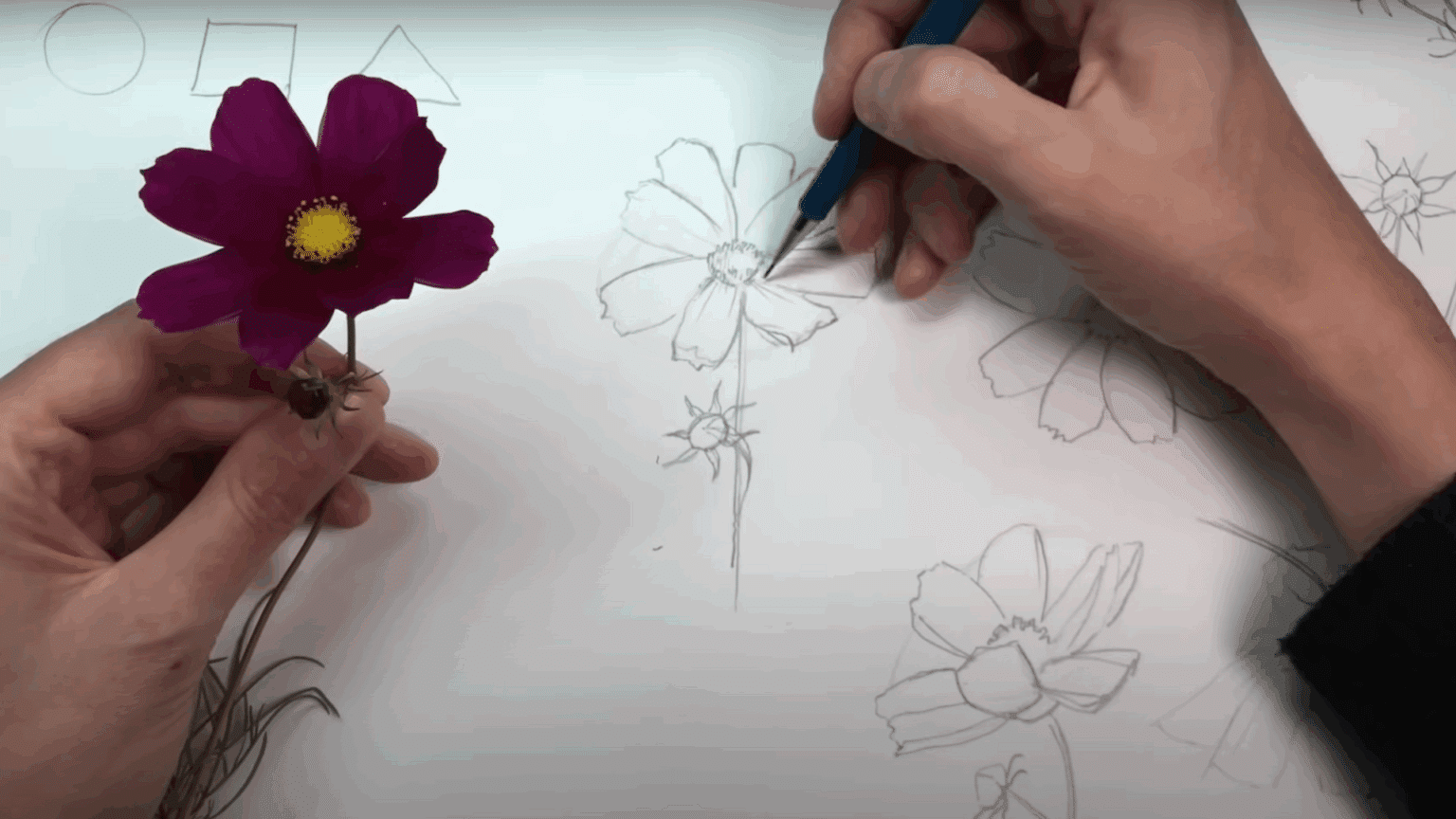 Step by Step Drawing for Adults That Anyone Can Learn - Meredith Plays