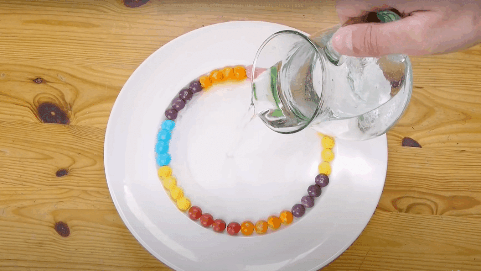 Colourful Skittle Science Experiments to Perform with Kids - Meredith Plays
