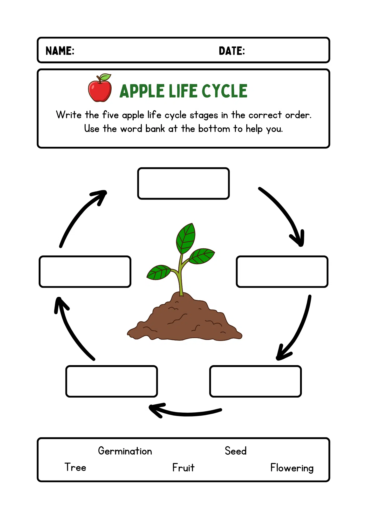 Fun Learning with Apple Life Cycle Printables - Meredith Plays