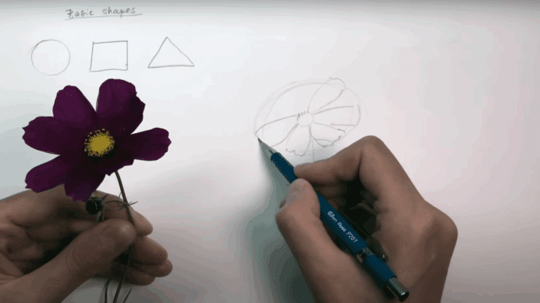 Step by Step Drawing for Adults That Anyone Can Learn - Meredith Plays