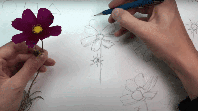 Step by Step Drawing for Adults That Anyone Can Learn - Meredith Plays