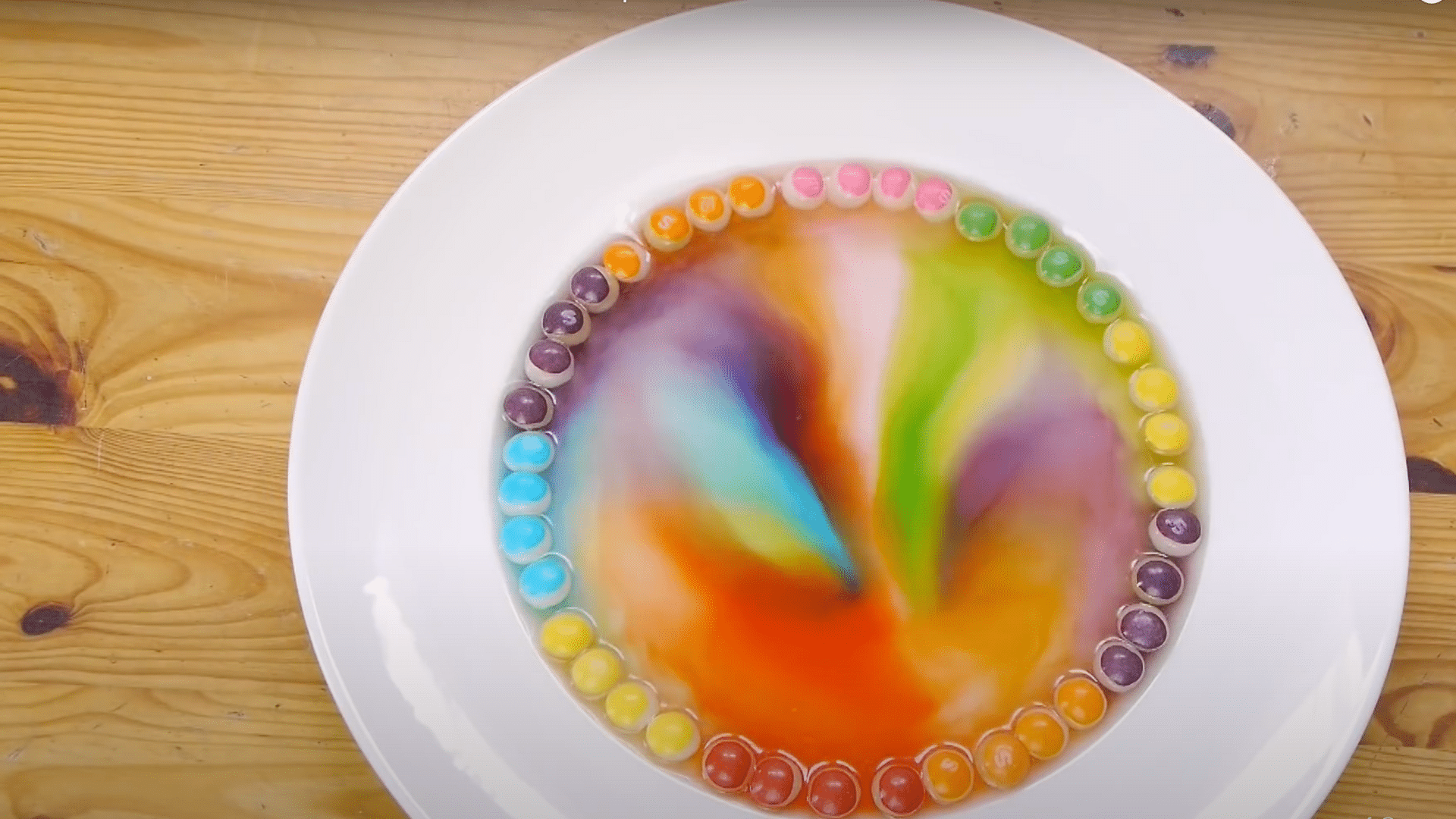 Colourful Skittle Science Experiments to Perform with Kids - Meredith Plays
