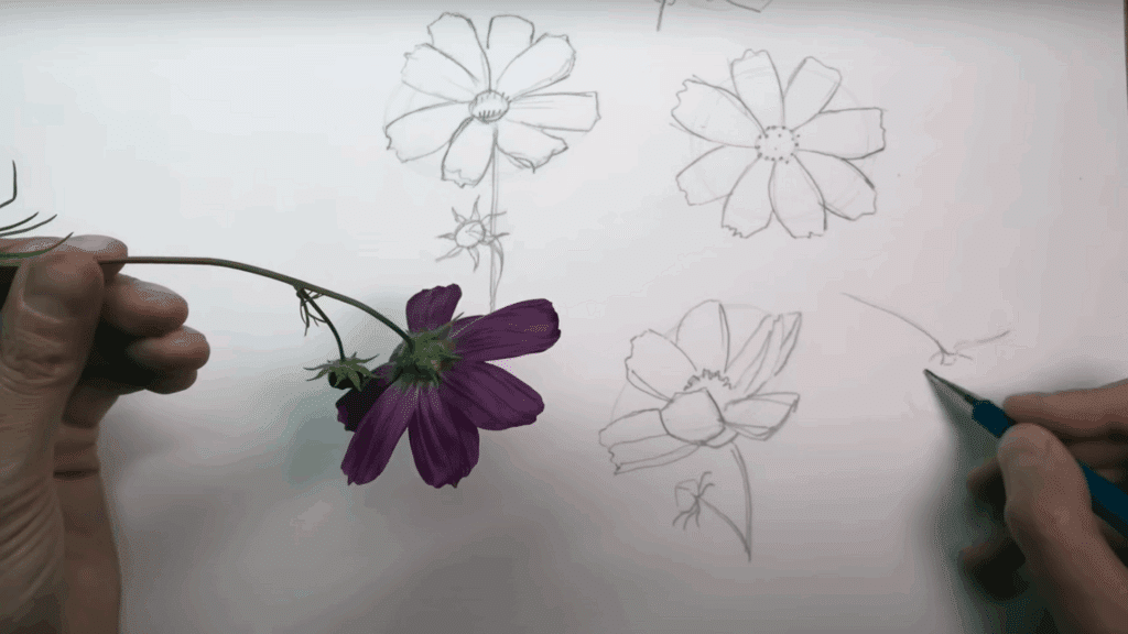 Step by Step Drawing for Adults That Anyone Can Learn - Meredith Plays