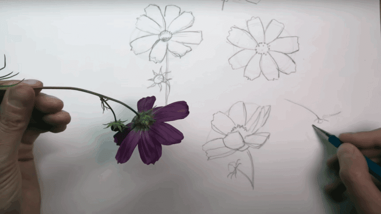 Step by Step Drawing for Adults That Anyone Can Learn - Meredith Plays