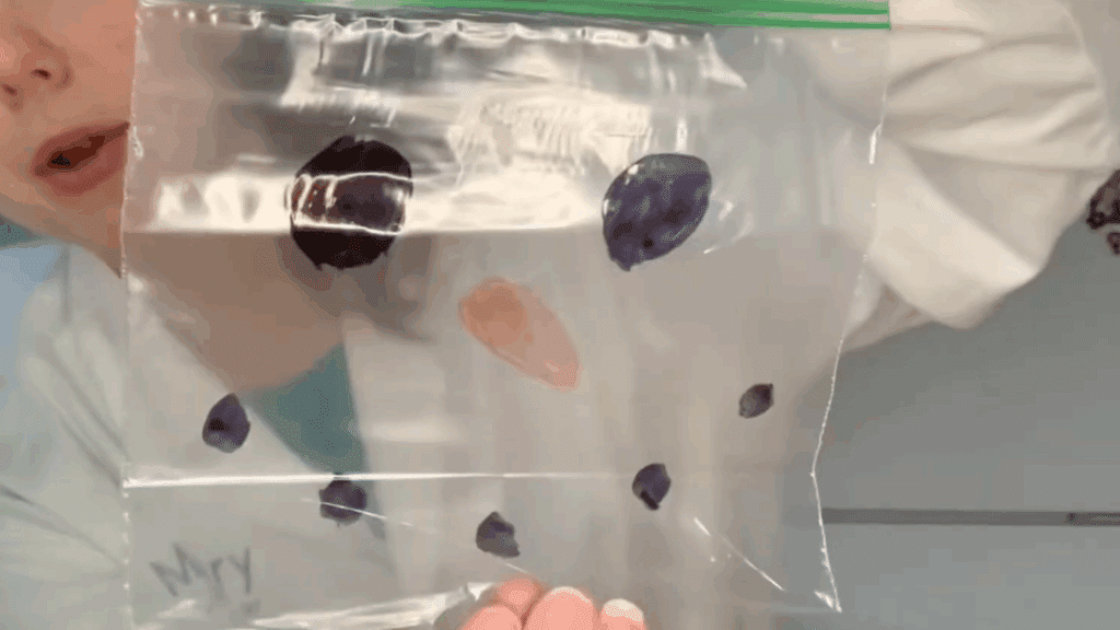 How to Make Your Exploding Snowman Experiment Come to Life - Meredith Plays