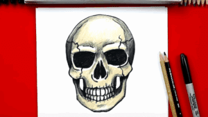 Skull Drawing Step By Step That Actually Looks Cool Meredith Plays